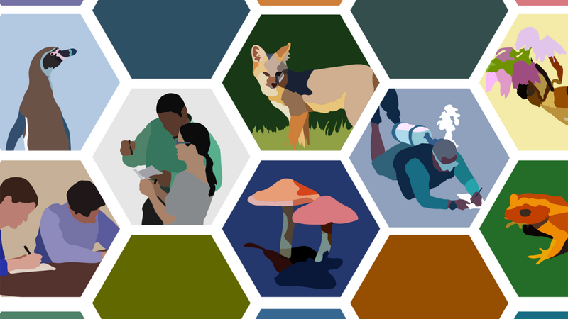 NCEP Educator Resources | AMNH