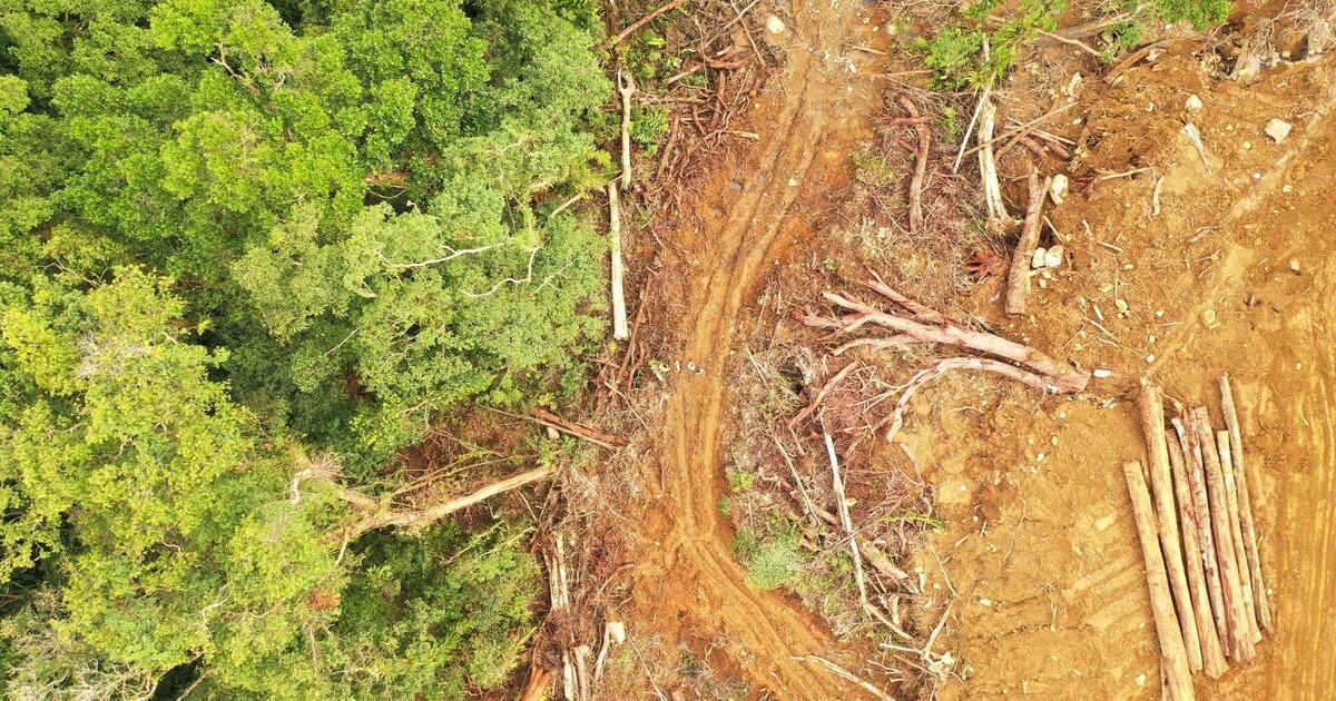 Mack Lipkin Man & Nature Series: Conservation Symposia | AMNH