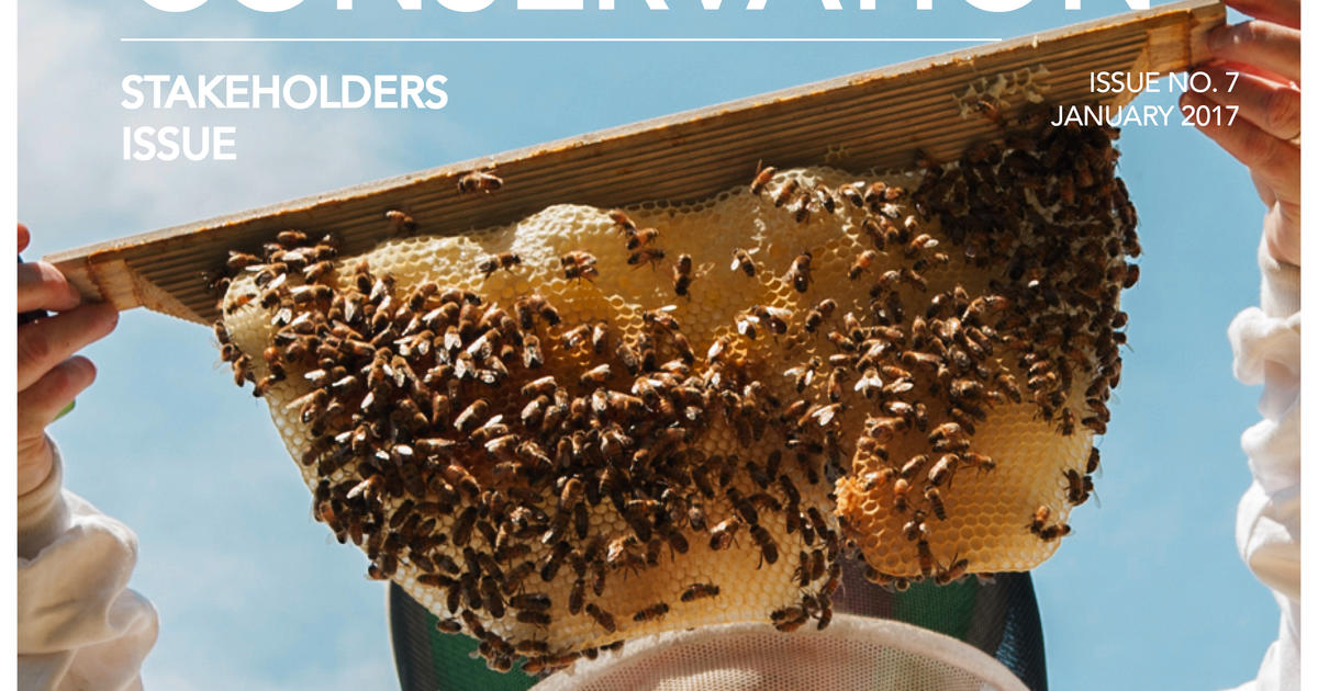 Lessons in Conservation | AMNH