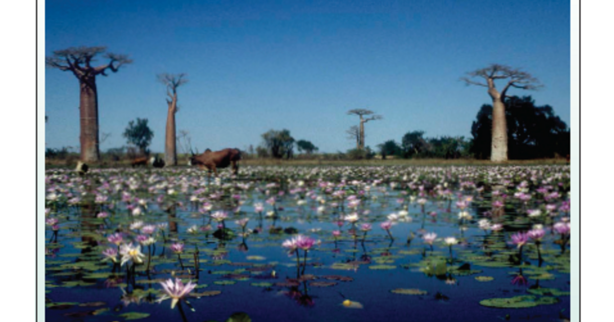 LinC 2: Adaptive Management, Protected Areas, Reserve Design | AMNH