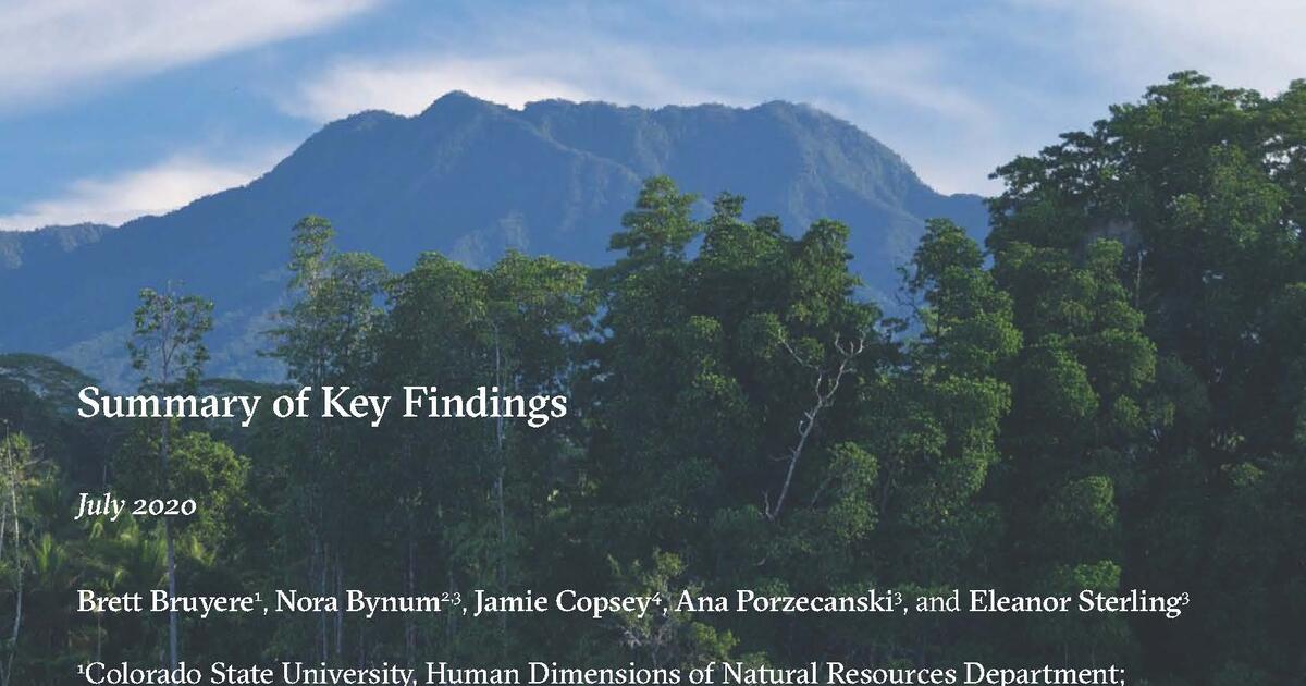 Conservation Leadership Capacity Building: Landscape Study | AMNH