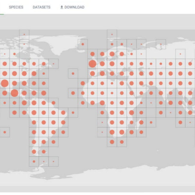 LinC 9: NCEP Conservation Teaching and Learning Studio | AMNH