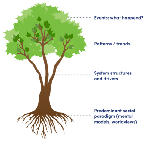 Lessons in Conservation 11: Systems Thinking | AMNH