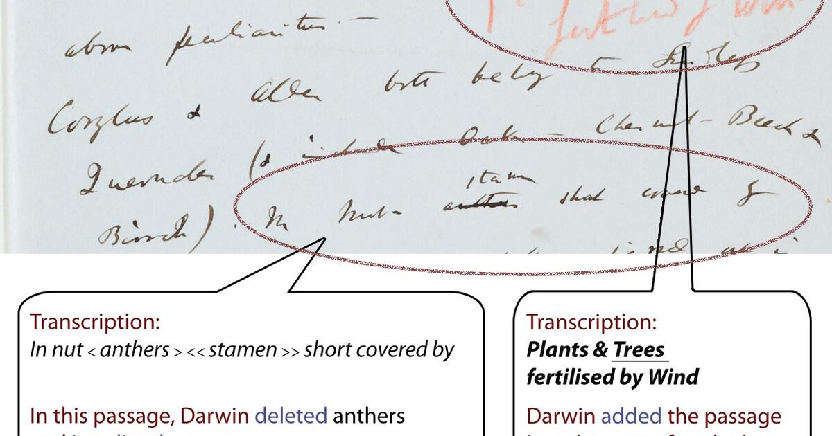 Symbols and Editing: Darwin Manuscripts Project | AMNH