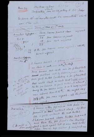 AMNH’s Hackathon Brings Cutting Edge Technology to Darwin Manuscripts / DMP in the News / Darwin ...