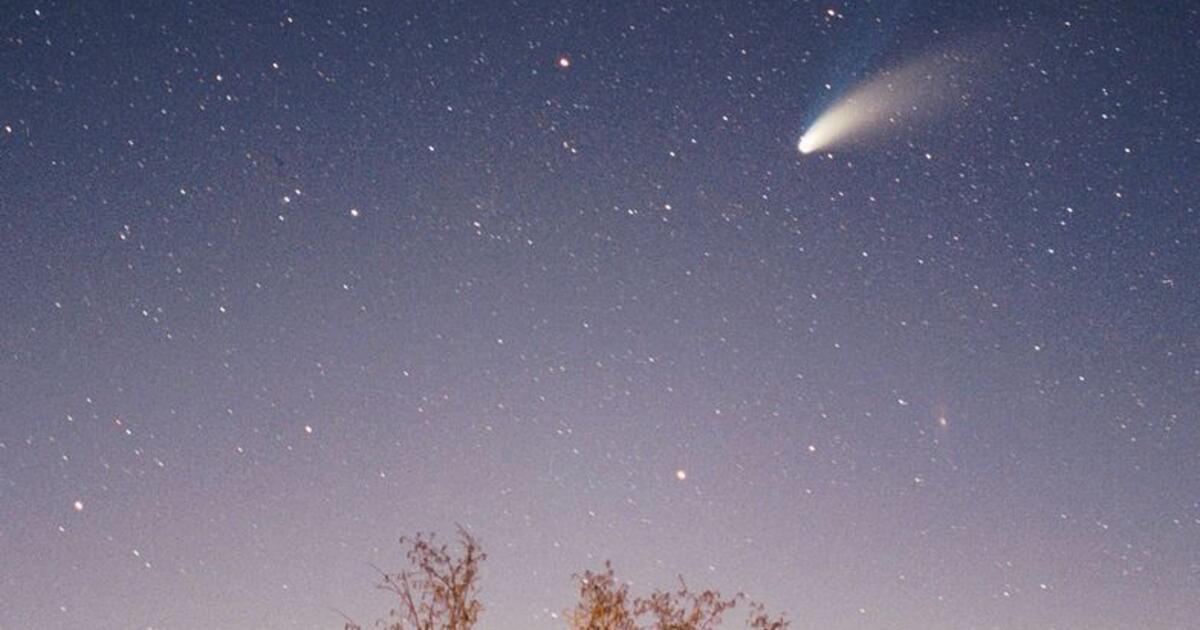 Comet ISON Visits Later This Year | AMNH