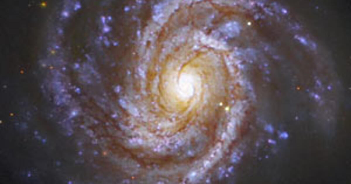 SKY REPORTER: May 2012 | AMNH