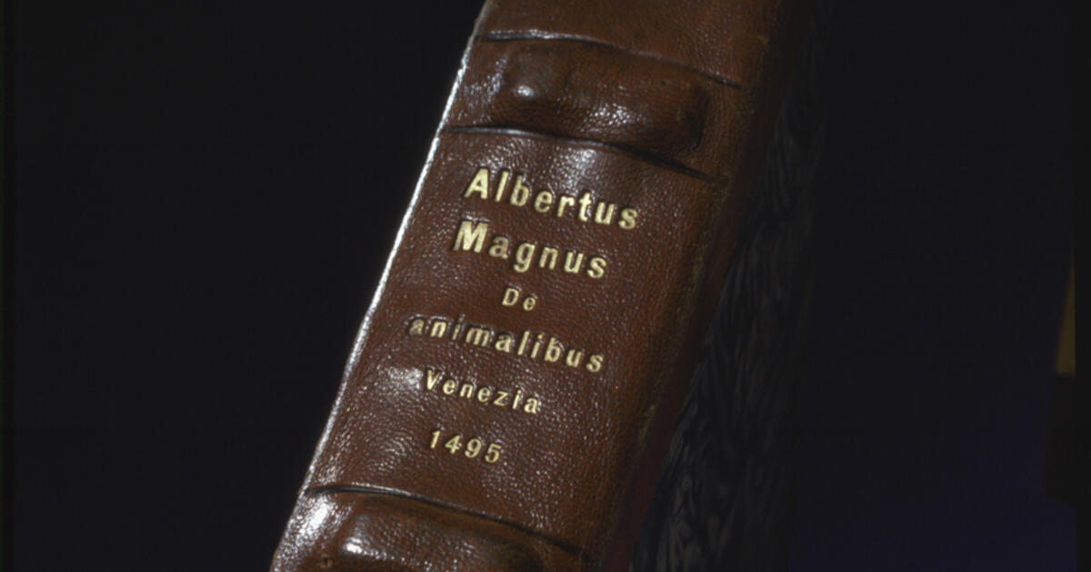 Proper Care for Library Books | AMNH