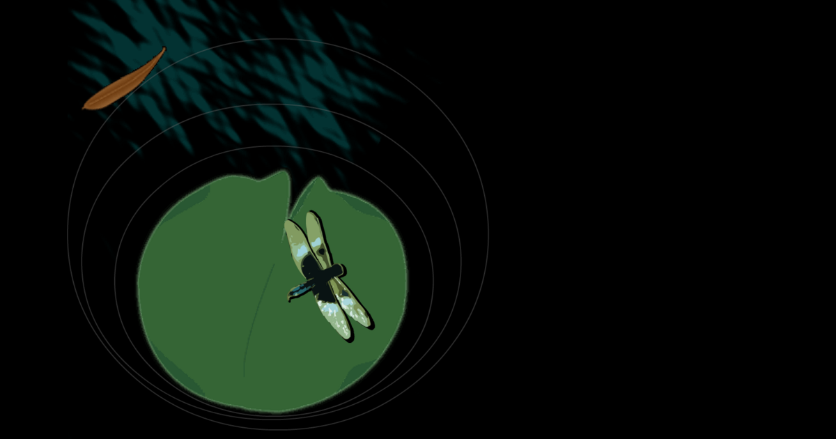 Imagine Nature | American Museum of Natural History