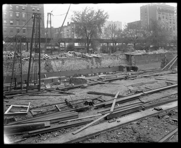 AMNH Library: Moving forward 2022 | AMNH