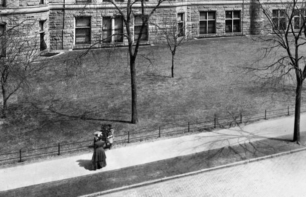 AMNH Library: Moving forward 2022 | AMNH