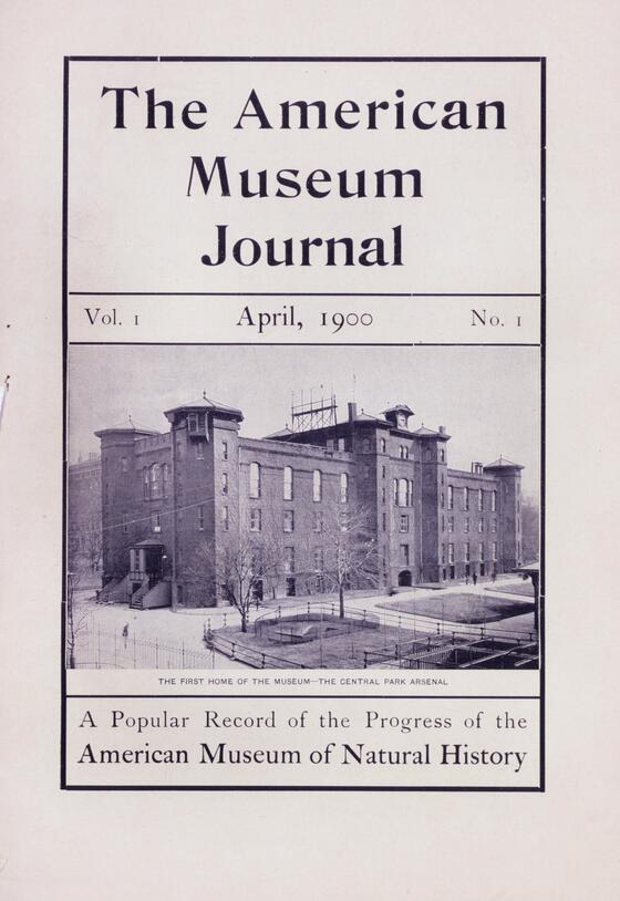 Sharing Assets and Spreading Knowledge | AMNH