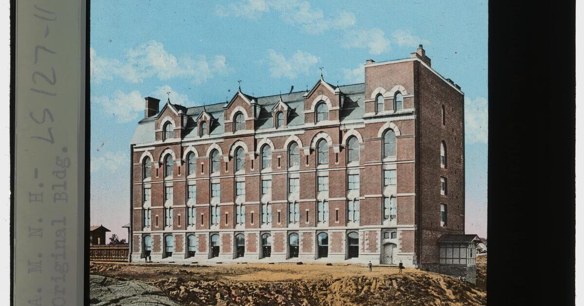 AMNH Library: Moving forward 2022 | AMNH