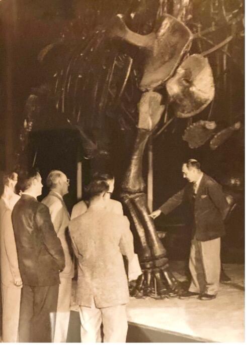 Unearthing the joint history of VP and Columbia | AMNH