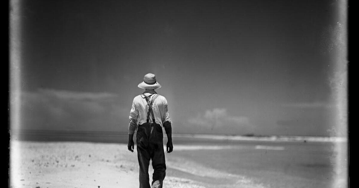 Goodbye, Summertime | AMNH