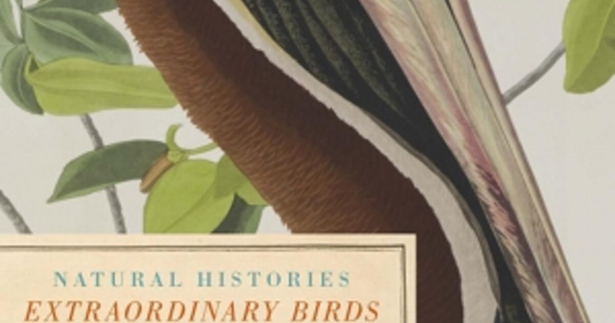 New Digital Special Collections Exhibit: Extraordinary Birds | AMNH