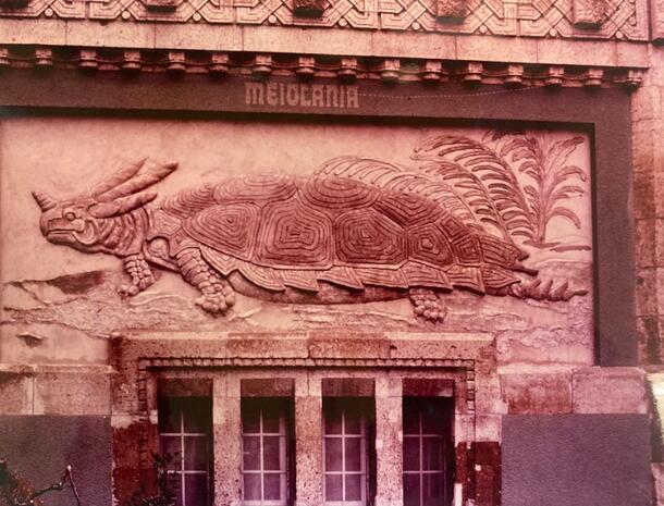 Thank You, Mr. Scientist | AMNH