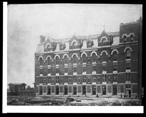 AMNH Library: Moving forward 2022 | AMNH