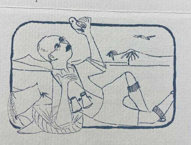 Library Fun Finds 11.4.22 | AMNH