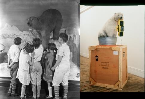 Slide Slam: Sharing the Museum's Vast Collection of Images | AMNH