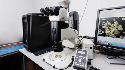 Nikon SMZ18 Stereoscope: Microscopy and Imaging Facility | AMNH