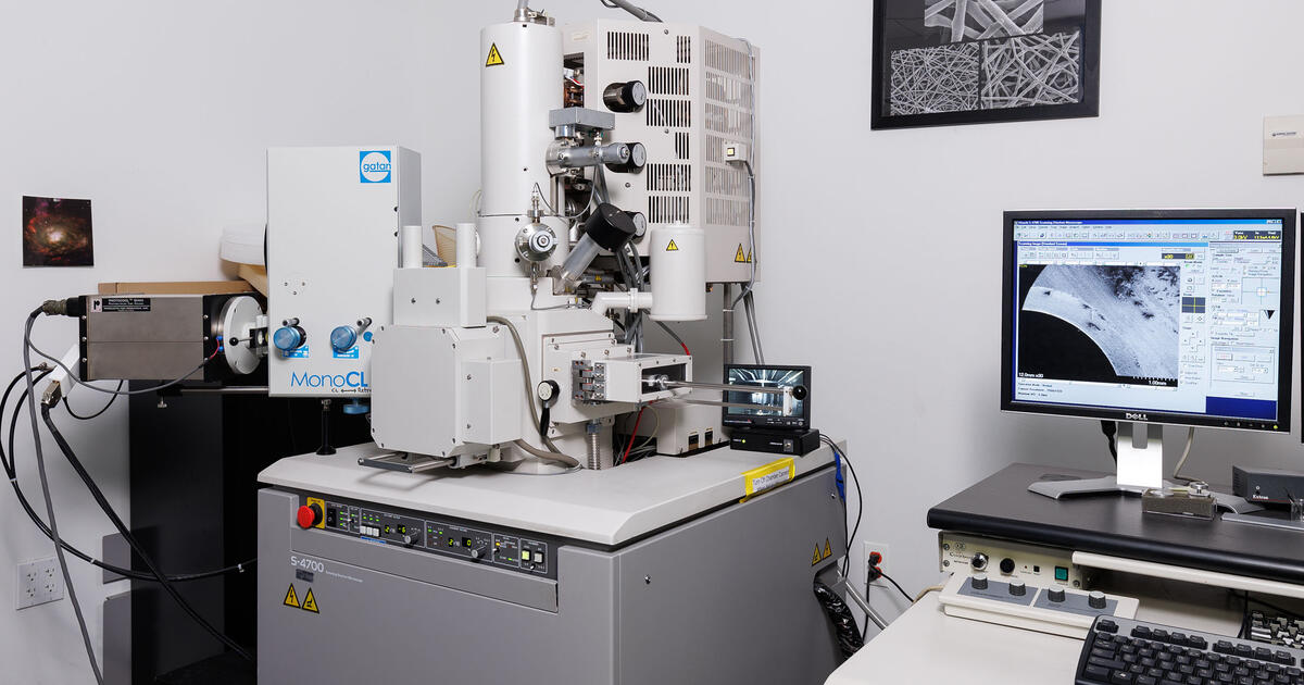 Hitachi S-4700: Microscopy and Imaging Facility | AMNH