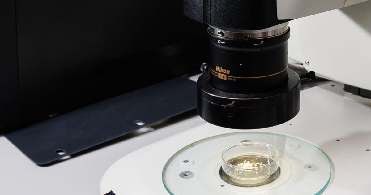 Sample Prep and Printing: Microscopy and Imaging Facility | AMNH