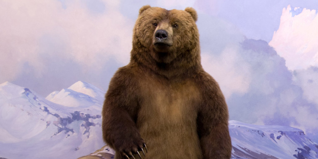 Science Conservation | AMNH