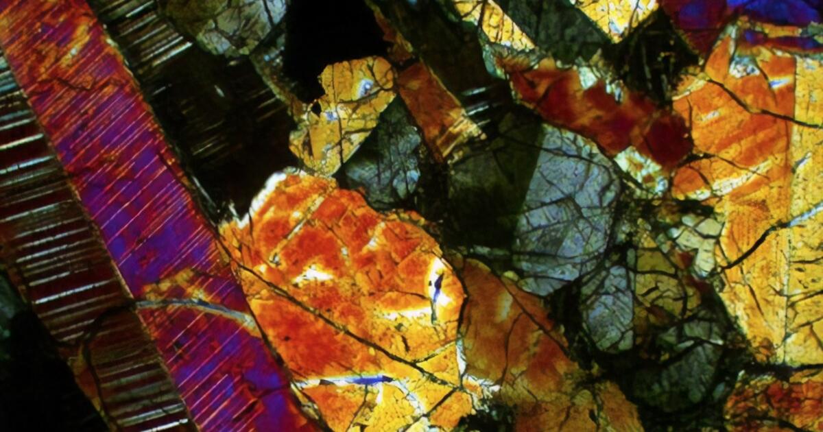 Our Scientific Research and Collections | AMNH