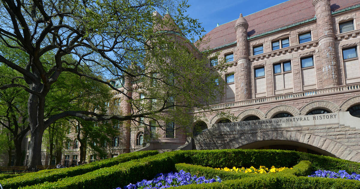 School Overview | Richard Gilder Graduate School