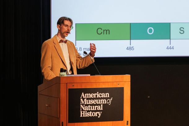 benjamin lawrence nikolic