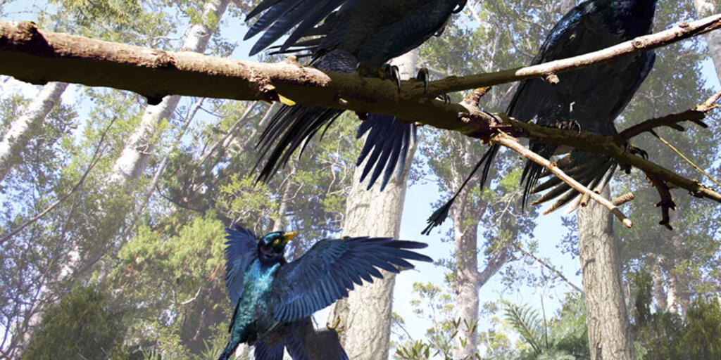 microraptor dinosaurio