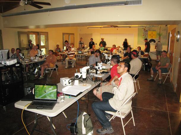 Advanced Courses for Biologists, Researchers, Naturalists | AMNH