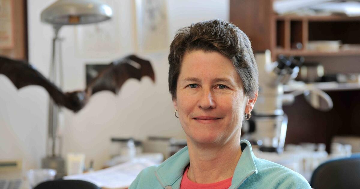 Nancy B. Simmons | AMNH