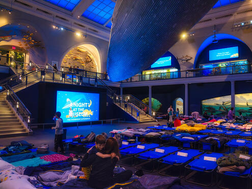 A Night at the Museum: Sleepovers, Ages 6-12 + Chaperones | AMNH