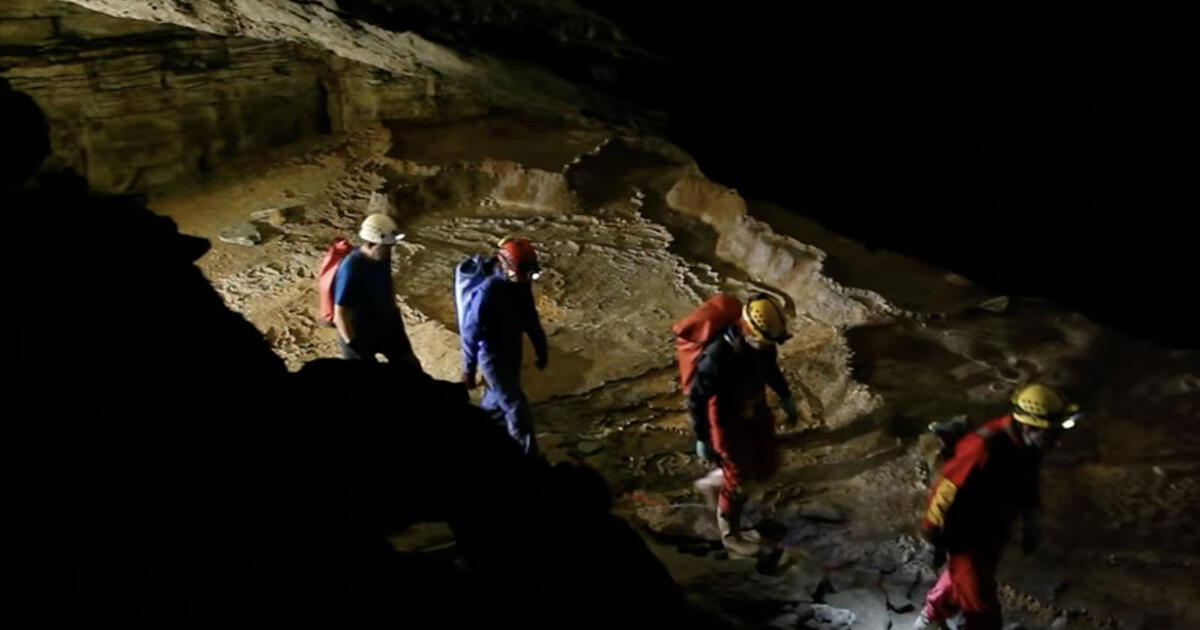 Underground Microbes: Mining Drugs From Nature | AMNH