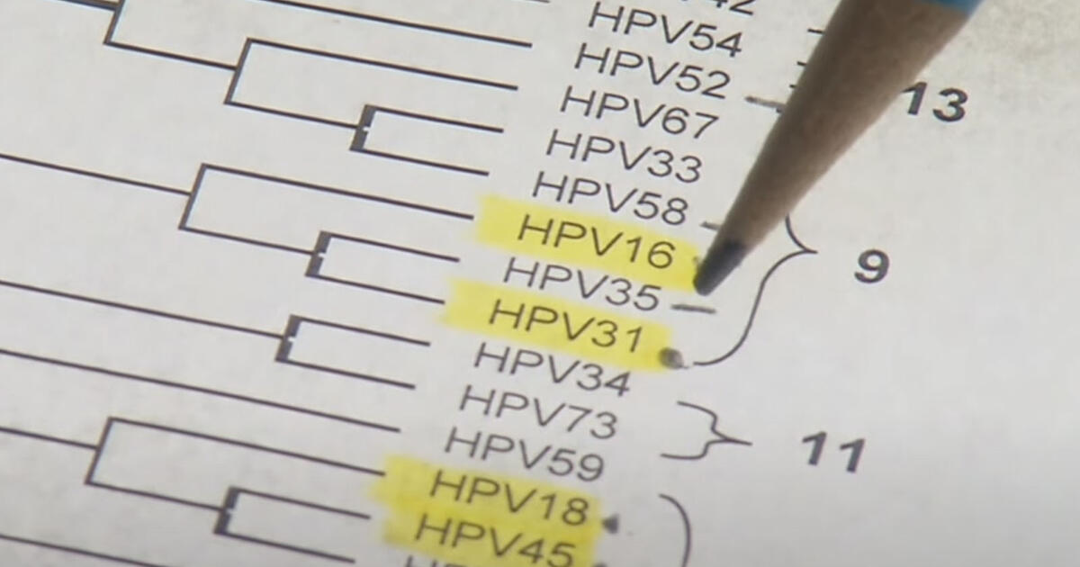 Cancer Prevention: Studying Viral Links and HPV | AMNH