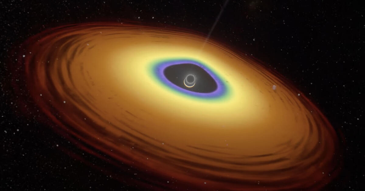 Distant Quasars: Shedding Light on Black Holes | AMNH
