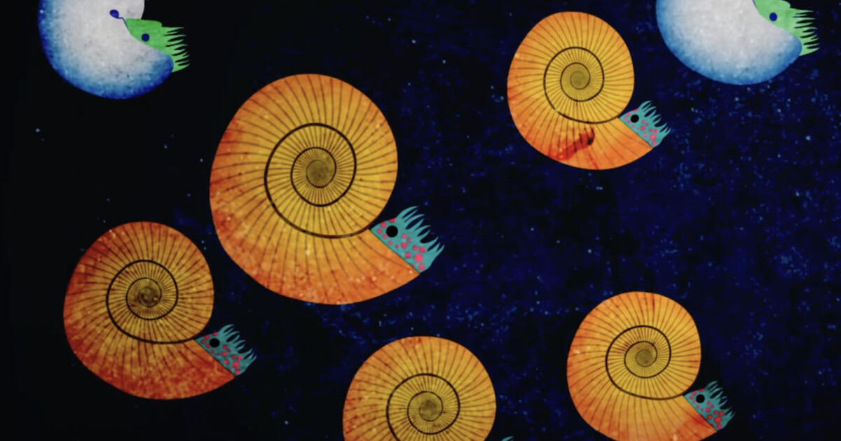 Ammonites Perished, Nautilids Survived. Why? | AMNH