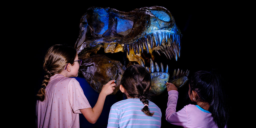 que significa sleepover