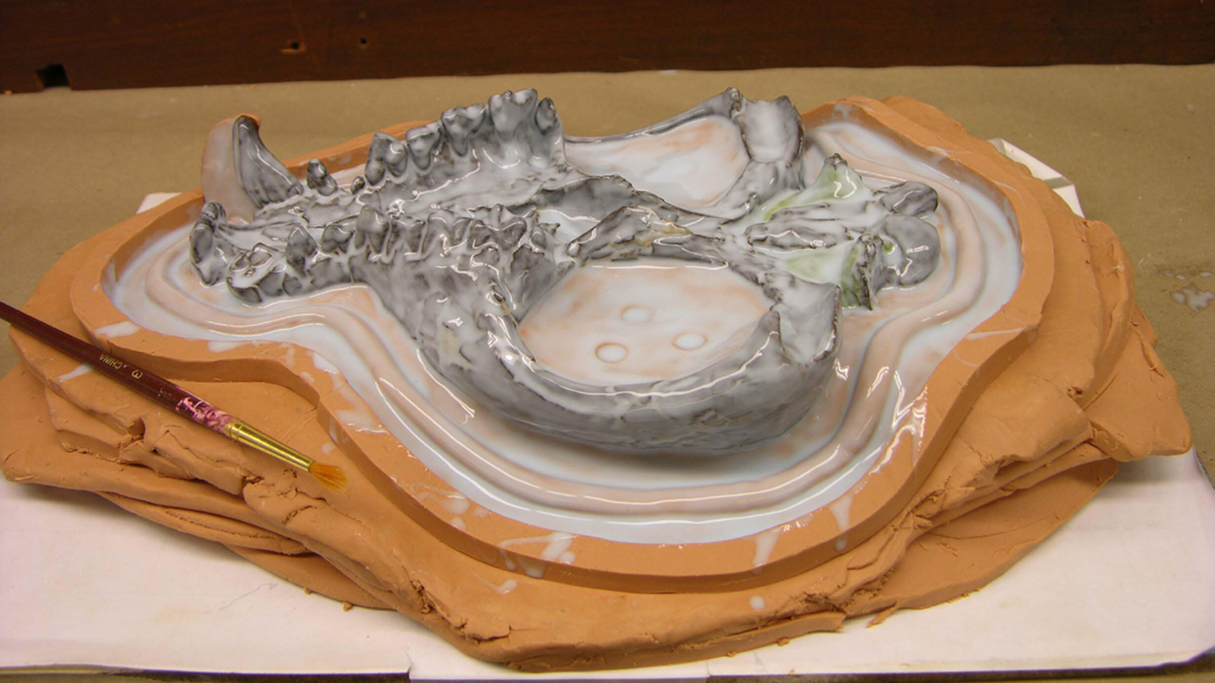 Molding and Casting Fossils - Fossil Preparation | AMNH