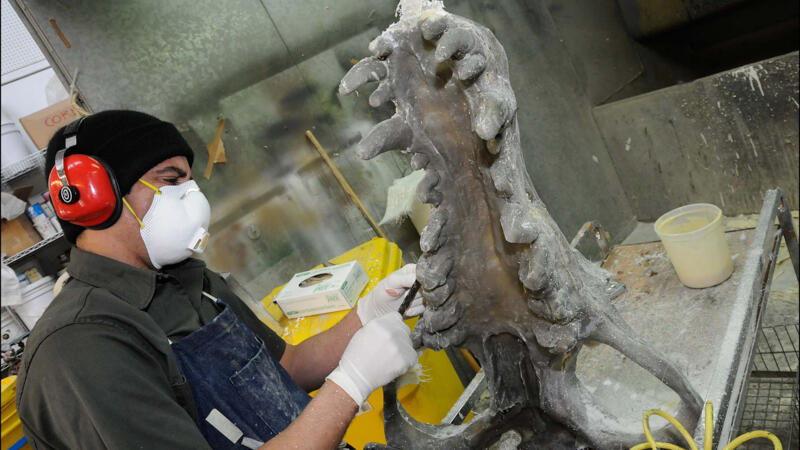 Health and Safety - Fossil Preparation | AMNH