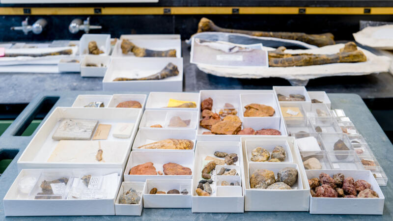 Housing Fossils - Fossil Preparation | AMNH