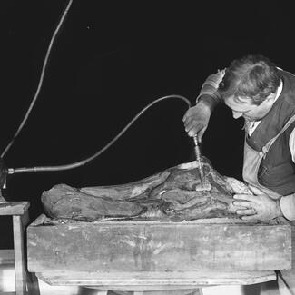 Fossil Preparation Laboratories | AMNH