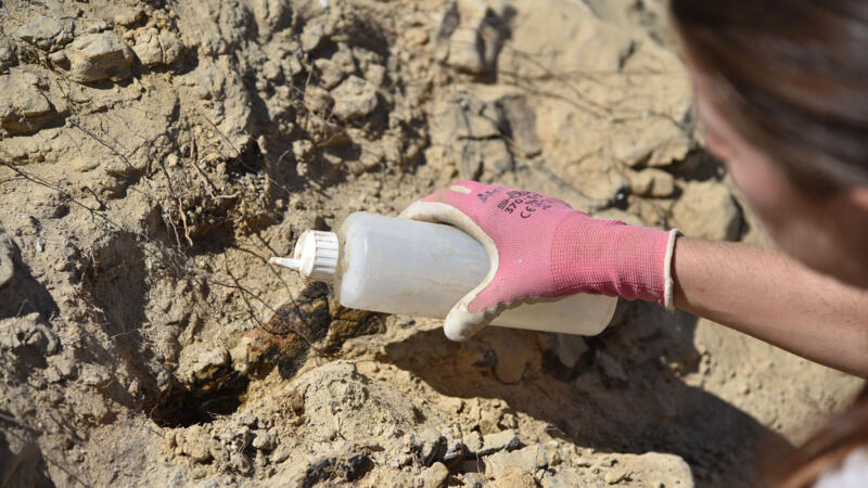 Solution & Reactive Adhesives - Fossil Preparation | AMNH