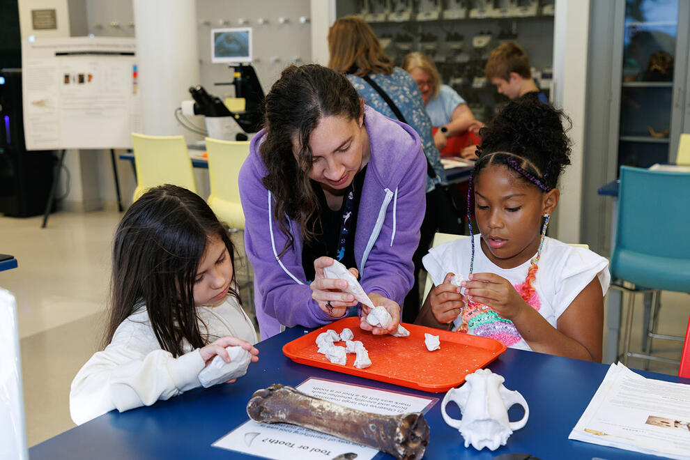 Human Origins Learning Lab: Hands-on | AMNH