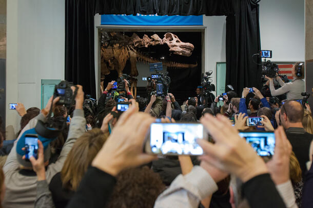 The Titanosaur Arrives: A Massive Exhibit | AMNH