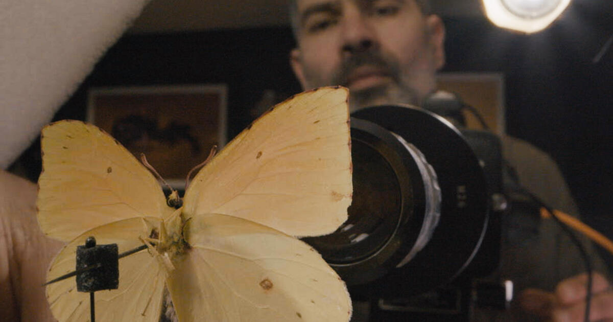 Extinct and Endangered Video | American Museum of Natural History