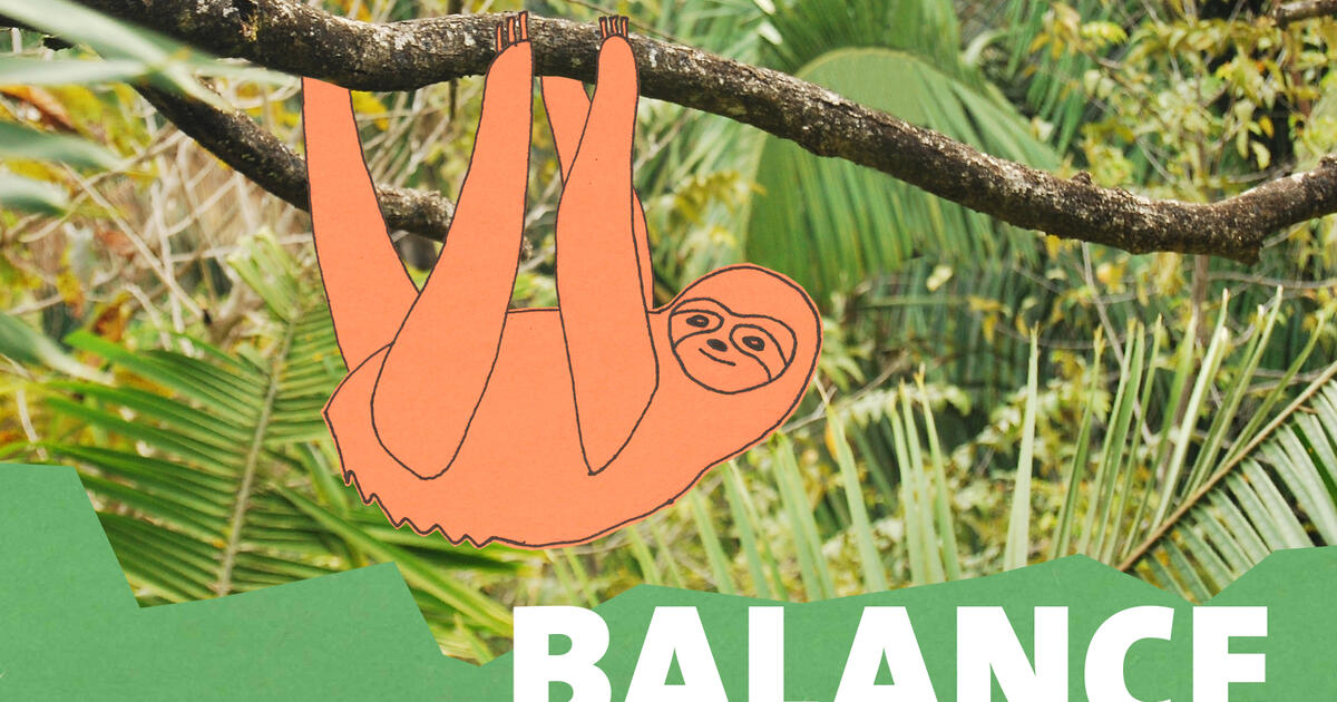 Our Senses: What Sluggish Sloths Tell Us About Balance | AMNH