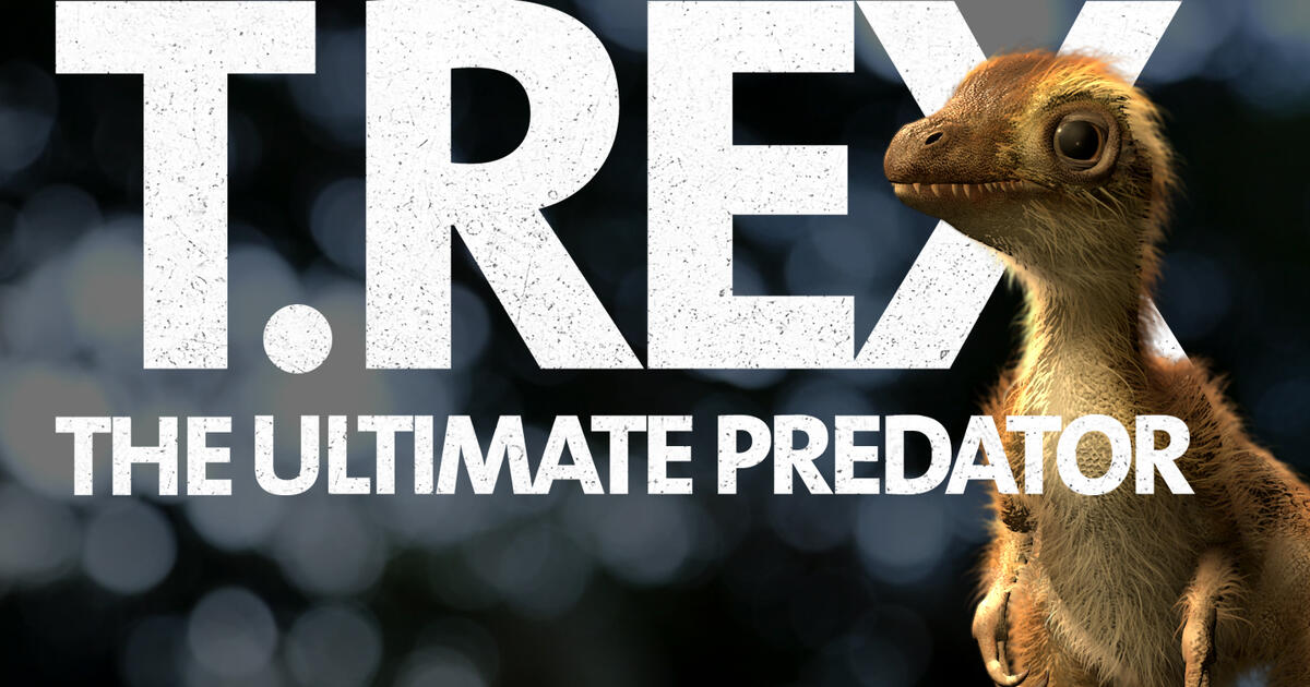 Latest science on Tyrannosaurus rex in new exhibition | AMNH